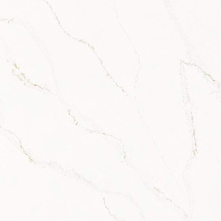 Calacatta Alabaster - Daltile - Bay Area Tile and Hardwood Supply